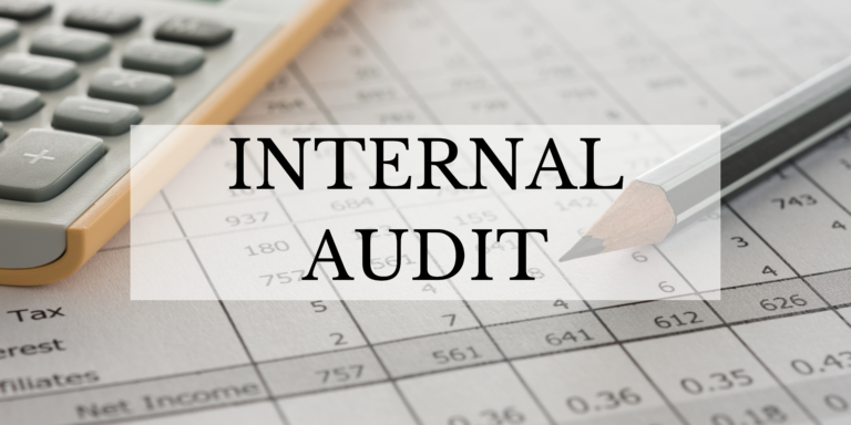Robotic Process Automation | Internal Audit - Rnm India