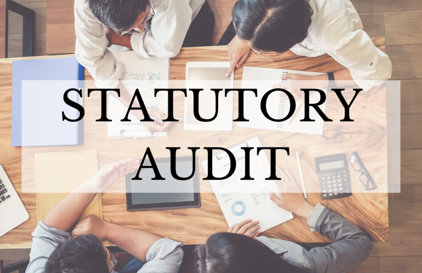 Expert Statutory Audit Services | Compliance Assurance